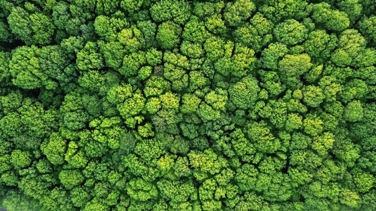 Sustainability - EVP Group is committed to People and the Planet